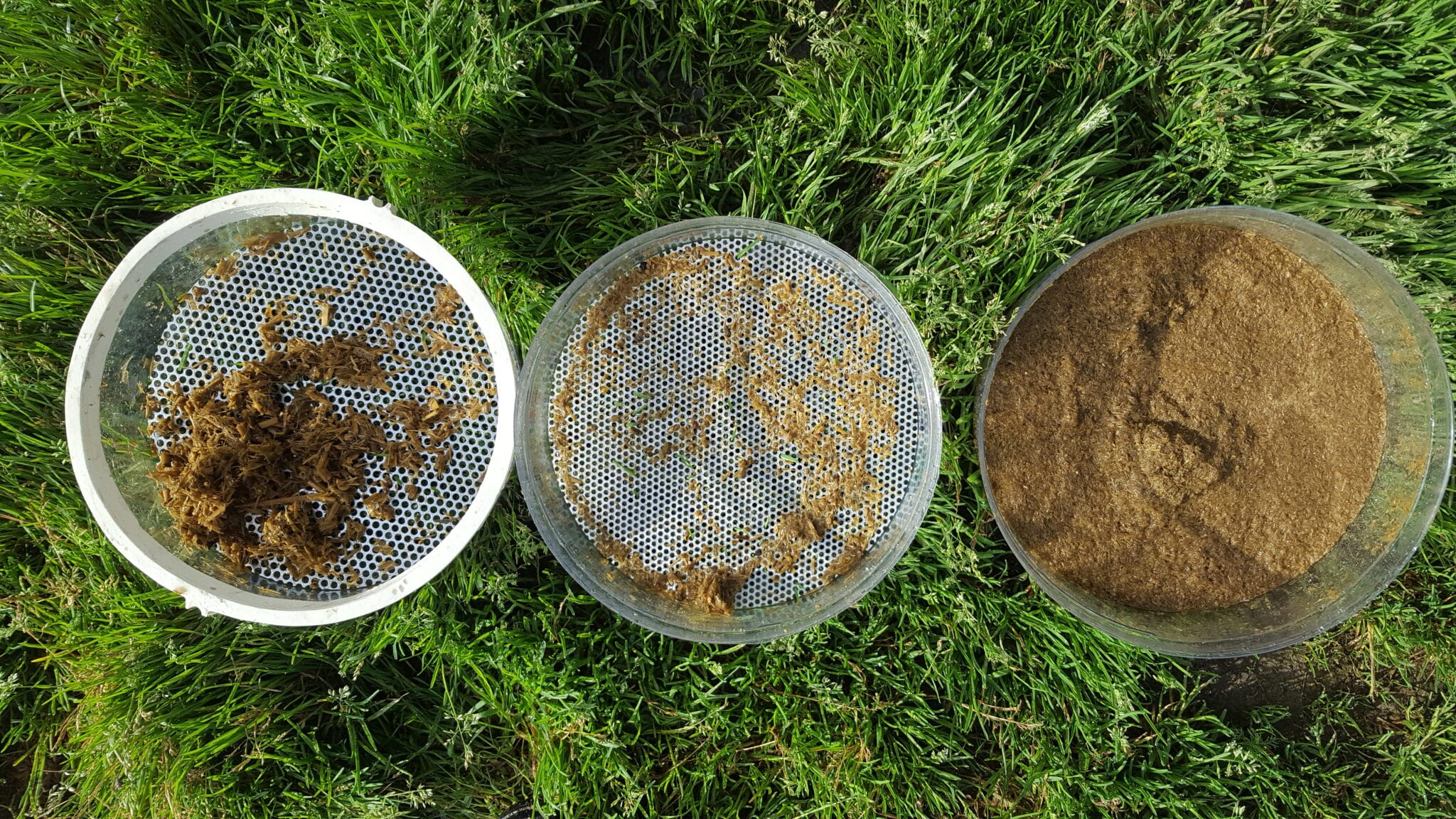 L’analyse des bouses - Neolait